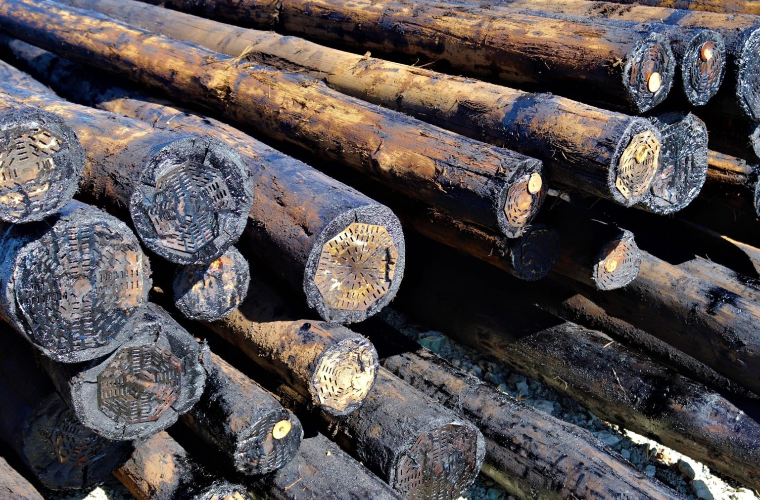 Preservation of Timber