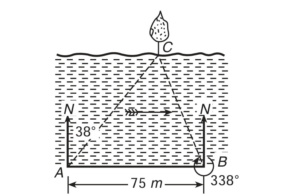 A river is flowing from west to east. For determining the width of the river two points A and B ...